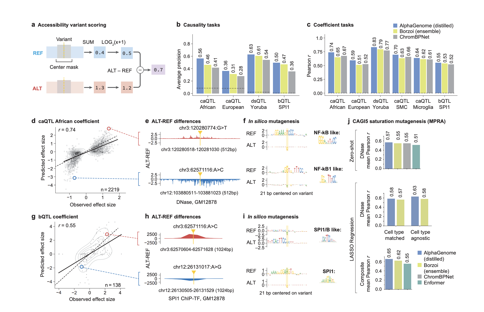 Google DeepMind Releases AlphaGenome: A Deep Learning Model that can ...